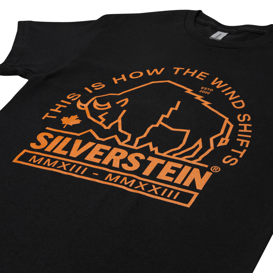 Buffalo Tee V2 – Silverstein